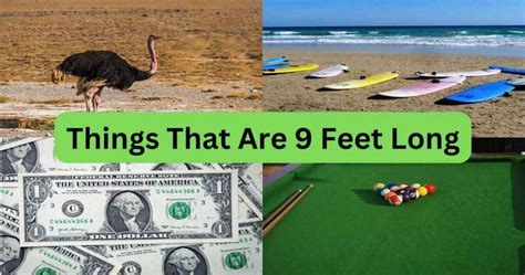 How Long Is Feet Common Things That Are Feet Long Dimension Gauge