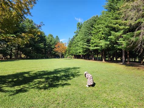 추석연휴 가평 여행 1일차 남이섬 마이다스호텔 후기 네이버 블로그