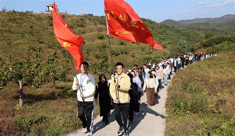 新闻公告 大梨树官方网站