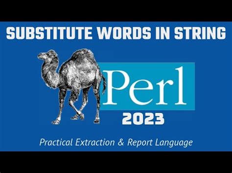 Perl Programming Substitute Words In String Using STDIN 2023 YouTube