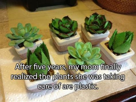 Moms Are The Purest Form Of Comedy Twblowmymind