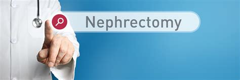 What Is A Nephrectomy Kansas City Urology Care