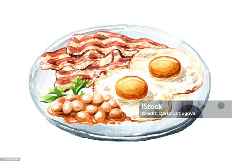 계란 후라이 베콘 조각 소스에 콩을 곁들인 전통 영국식 아침 식사 흰색 배경에 격리 된 손으로 그린 수채화 그림 달걀에 대한 스톡 벡터 아트 및 기타 이미지 Istock