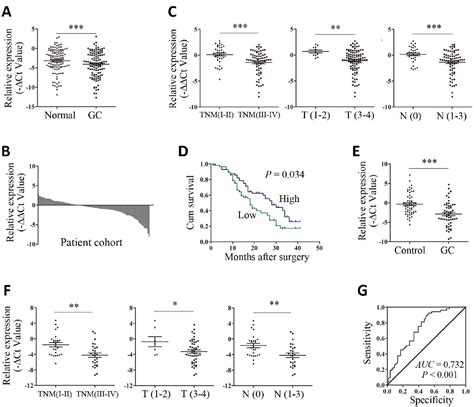 Figure 1 From Long Noncoding Rna Arhgap27p1 Inhibits Gastric Cancer