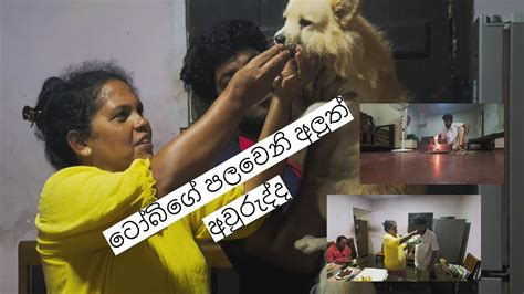 Aluth Awurudu Dawas ටෝබිගේ පලවෙනි අලුත් අවුරුද්ද Vlog 02 Stay
