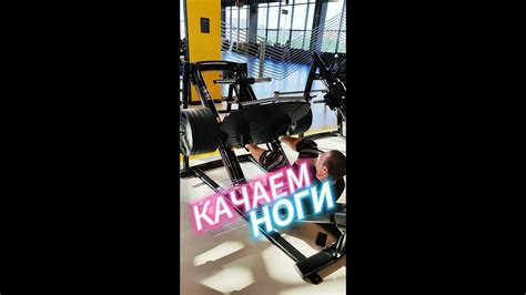 Тренировка ног в зале Как накачать ноги Youtube
