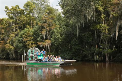 New Orleans Swamp Tours New Orleans Travel Collections