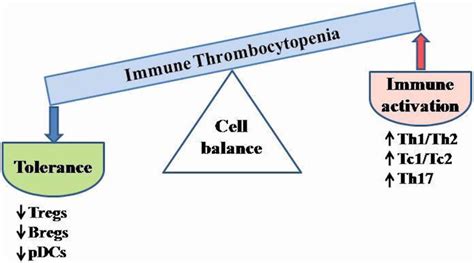 Picture Of Interplay Of Contributing Factors In Itp The Triggering Download Scientific Diagram