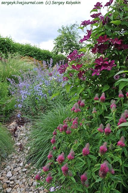 Неделя в саду: 12 - 18 июня: sergeyk — LiveJournal