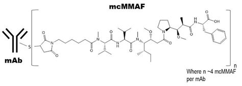 Blenrep Package Insert