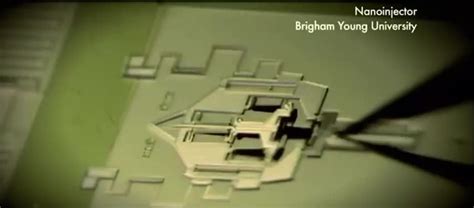 Nano Injector Injecting Dna Into A Cell R Educationals