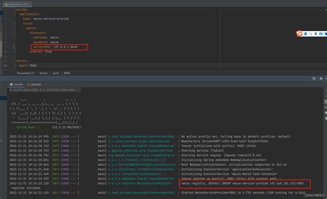 记一次failed to req api nacos v1 ns instance after all servers [127 0 0 1