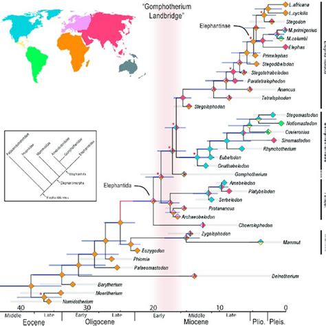 Total Evidence Phylogenetic Inference And Historical Biogeography Results Download Scientific