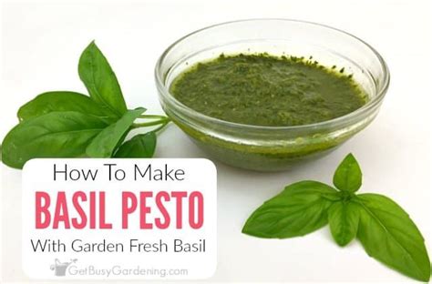How To Make Pesto With Fresh Basil From Your Garden Or The Store