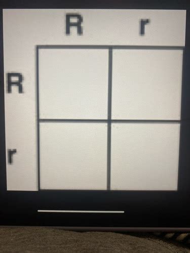 Problem Set 10 Inheritance Ch 12 And 13 Flashcards Quizlet