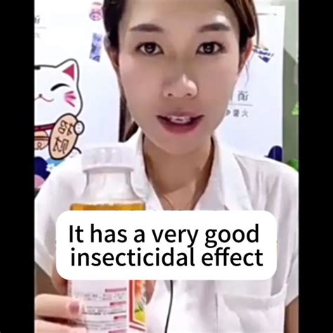Large Area Spraying Insecticide For Vegetable 500g Insecticide Lazada Ph