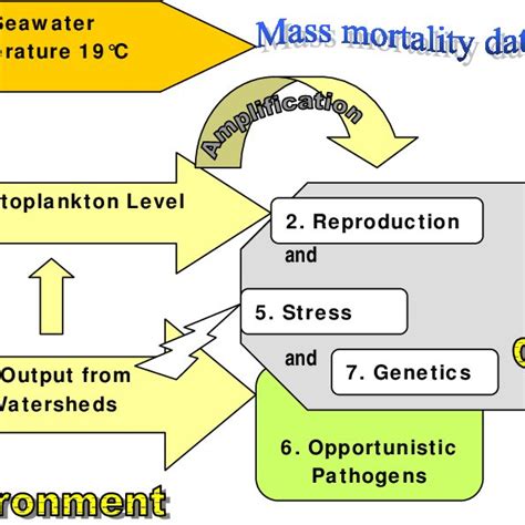Hierarchical Interaction Model A Combination Of Essential Factors Download Scientific Diagram