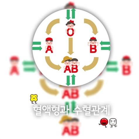 혈액형과 수혈관계 이야기 네이버 블로그