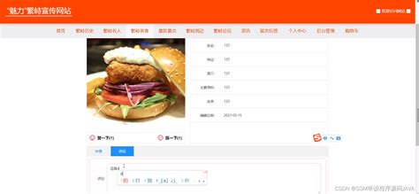 ssm“魅力”繁峙宣传网站d3ysa csdn博客