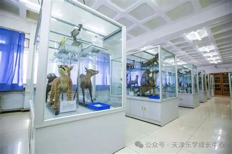 2024天津南开小升初——南大附一志愿是否值得报？