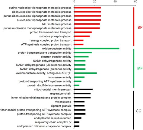 Go Analysis Of Degs Red Boxes Indicate The Top 10 Terms Of Biological