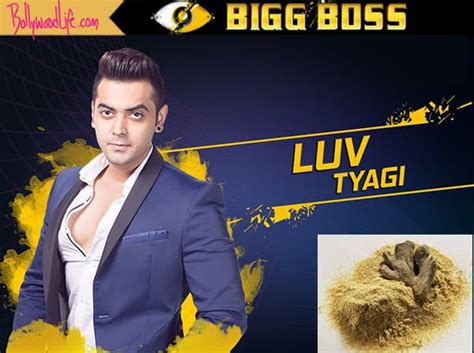 Bigg Boss 11 These 5 Pictures Of Luv Tyagi Before Entering The Show