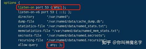 DNS域名服务器搭建 知乎