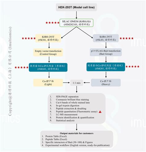 “靶”蛋白翻译后修饰 Ptms — 质谱分析蛋白质翻译后修饰质谱筛选分子靶点质谱筛选服务谱璟科技（上海）有限公司
