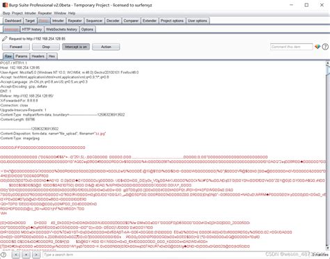 Nginx 解析漏洞复现nginx 1202漏洞 Csdn博客 Nginx 解析漏洞复现nginx 1202漏洞 Csdn博客