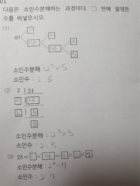 예비중 1학년 수학문제 소인수분해 지식in