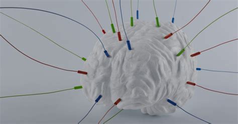 Fda Brings Paradromics Bci Into Advisory Program Medical Device News