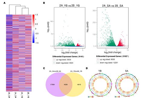 Figure 1 From Transcriptomic And Proteomic Analysis Of Shaan2a