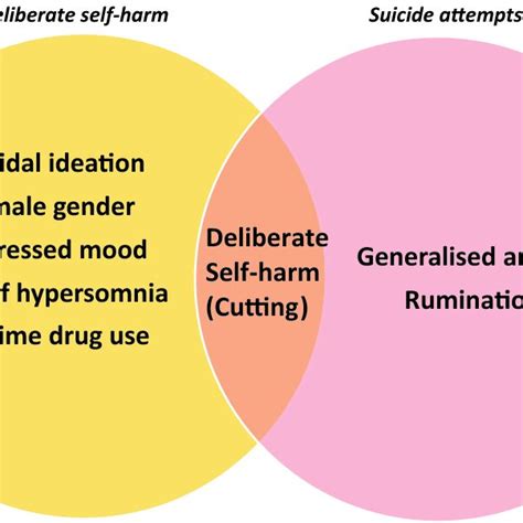 Heatmap Displaying Frequency Of Variable Selection By Each Algorithm In Download Scientific