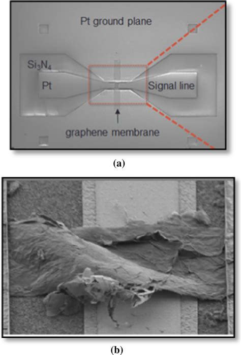 A Sem Of Fabricated Graphene Nems Switch B Partially Buckled Membrane