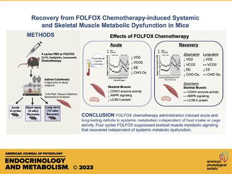 Recovery From Folfox Chemotherapy Induced Systemic And Skeletal Muscle