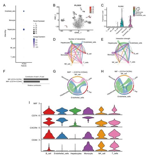 Multi Omics Analysis And Validation Of The Tumor Microenvironment Of