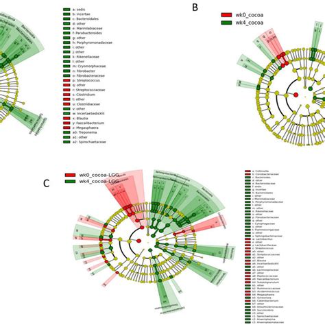 Linear Discriminant Analysis Effect Size Lefse Cladogram Representing