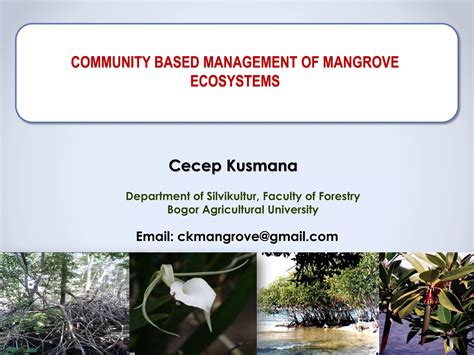 Community Based Management Of Mangrove Ecosystems Pdf