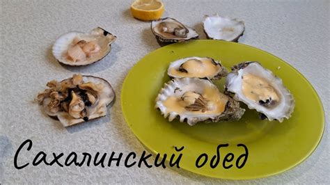Сахалин собираем морепродукты по отливу устрицы и гребешок сахалин