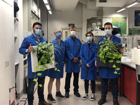 Plants Proven To Detox Indoor Air Green Simple