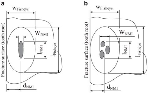 Determined Geometrical Parameters Of Fisheye And Non Metallic Inclusion