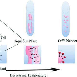 Phase Inversion Temperature Method For The Manufacture Of Nanoemulsions Download Scientific
