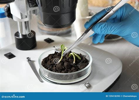 Scientist Doing Nitrogen Titration Of Soil Sample At Table Laboratory