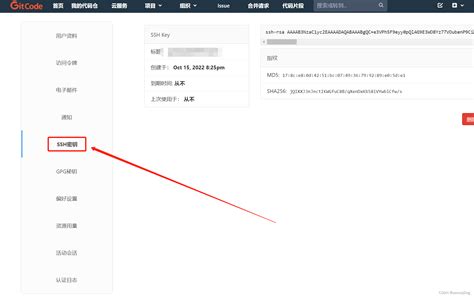 Windows11 Git 安装ssh密钥win11 Git Ssh在哪里 Csdn博客