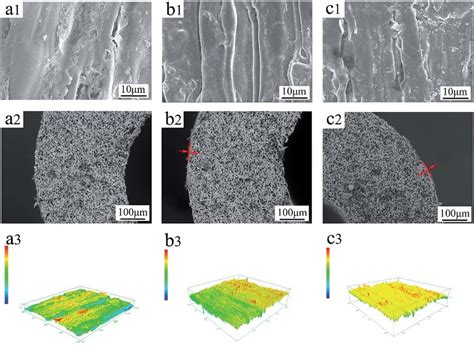 Morphologies Of Fepppy Composite Hollow Fiber Membranes A M10 Download Scientific Diagram
