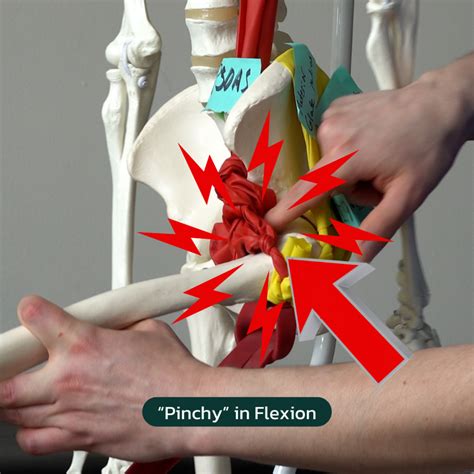 How To Finally Release A Tight Psoas Muscle Chaplin Performance