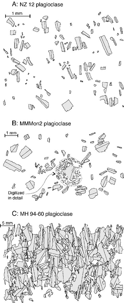 Digitized Outlines Of The Three Thin Sections That Were Used To Download Scientific Diagram