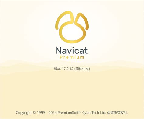 Navicat 17012 Windows版 专业版 绿色版 便携版 无需安装, 无需破解 把布丢 Navicat 17012 Windows版 专业版 绿色版 便携版 无需安装, 无需破解 把布丢