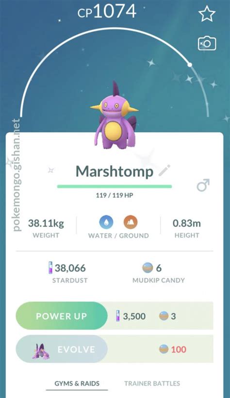 Shiny Marshtomp Pokemon Go