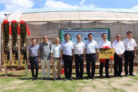 学校帮助双柏县建立冬季人参果种苗繁育基地 云南农业大学 新闻网